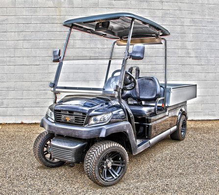 VIP GOLF CARTS - Updated May 2025 - 246 Photos & 28 Reviews - 3121 ...