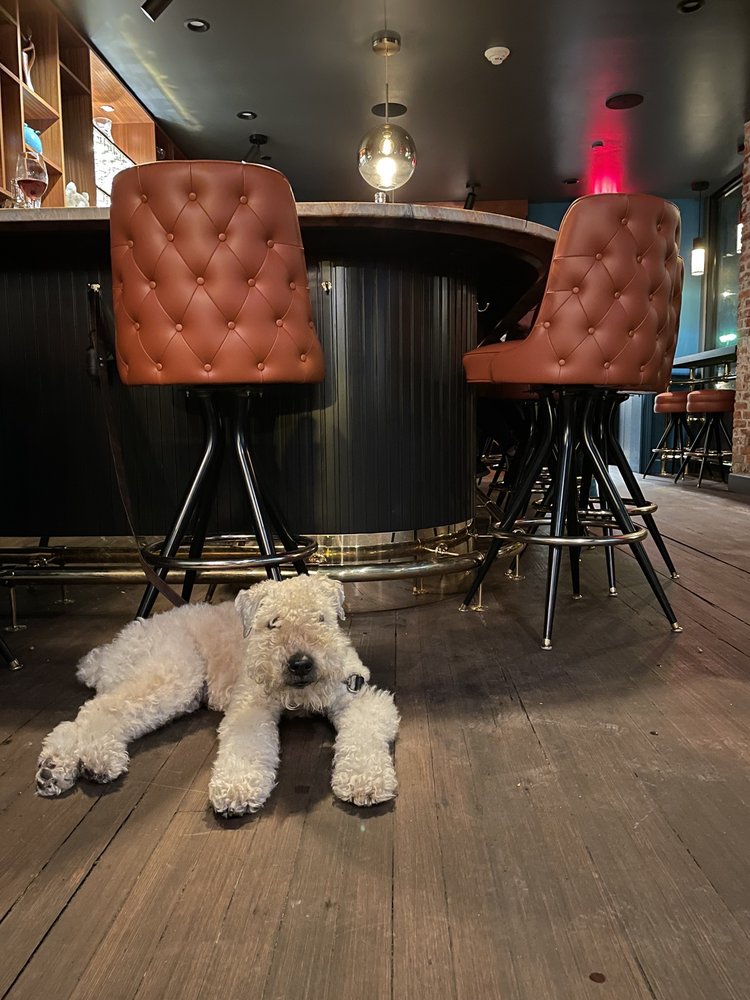 BAR BENE - 538 Warren St, Hudson, NY - Yelp