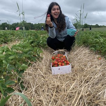 HOMESTEAD FARM OF JONES FAMILY FARMS - Updated September 2025 - 322 ...