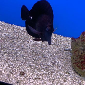 THE HIDDEN REEF - Updated May 2024 - 135 Photos & 68 Reviews - 4501 New ...