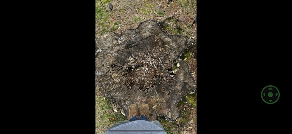 DOUBLE L STUMP GRINDING - Updated November 2024 - Request a Quote ...