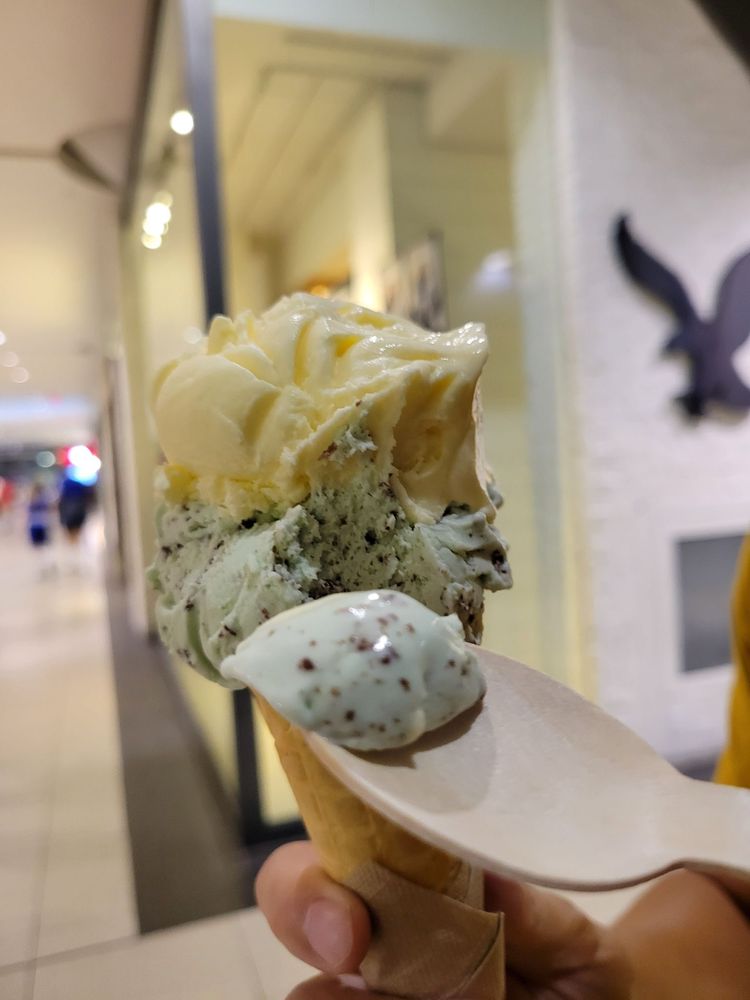 PURDYS CHOCOLATIER - Updated October 2025 - 17 Photos - 4841 Yonge St ...