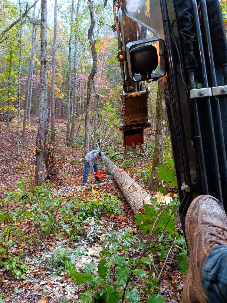 UPSTATE TREE PROS - Updated October 2025 - Request a Quote - 19 Photos ...