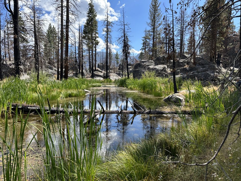 MONO HOT SPRINGS RESORT - Updated December 2025 - 192 Photos & 88 ...