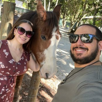 TINEZ FARMS - Updated June 2025 - 337 Photos & 62 Reviews - 16405 SW ...