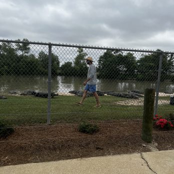 ALLIGATOR ALLEY - Updated August 2024 - 485 Photos & 162 Reviews ...