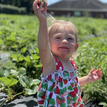 ATKINSON FARM - Updated May 2025 - 159 Photos & 67 Reviews - 3217 ...