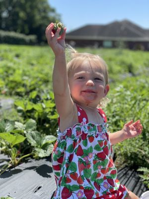 ATKINSON FARM - Updated September 2025 - 167 Photos & 73 Reviews - 3217 ...