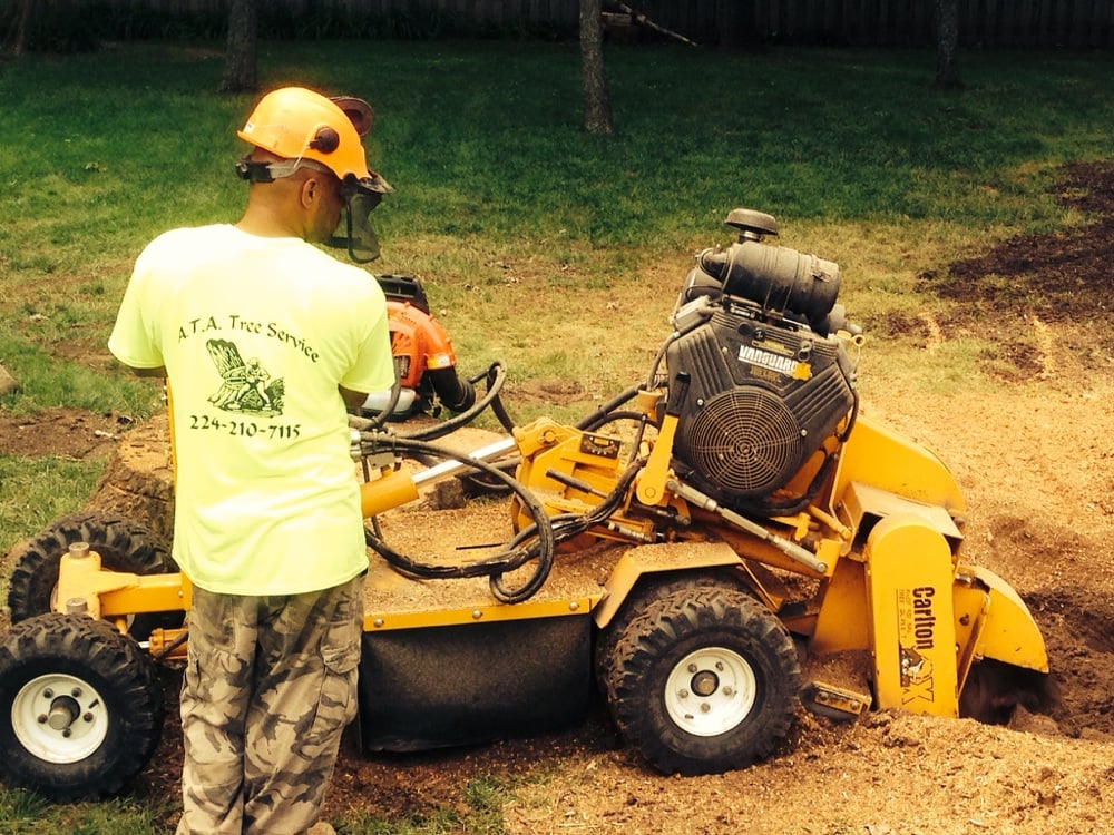 ATA TREE SERVICES - Updated September 2025 - 12 Reviews - McHenry ...