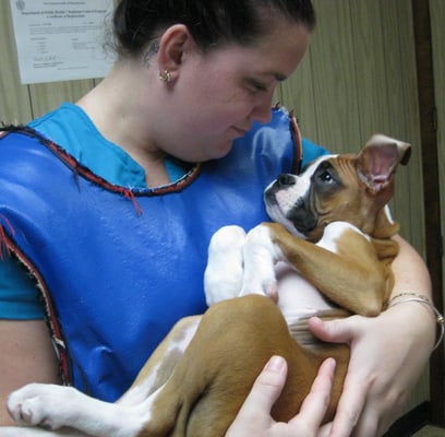 MARION ANIMAL HOSPITAL - Updated December 2025 - 16 Photos & 28 Reviews ...