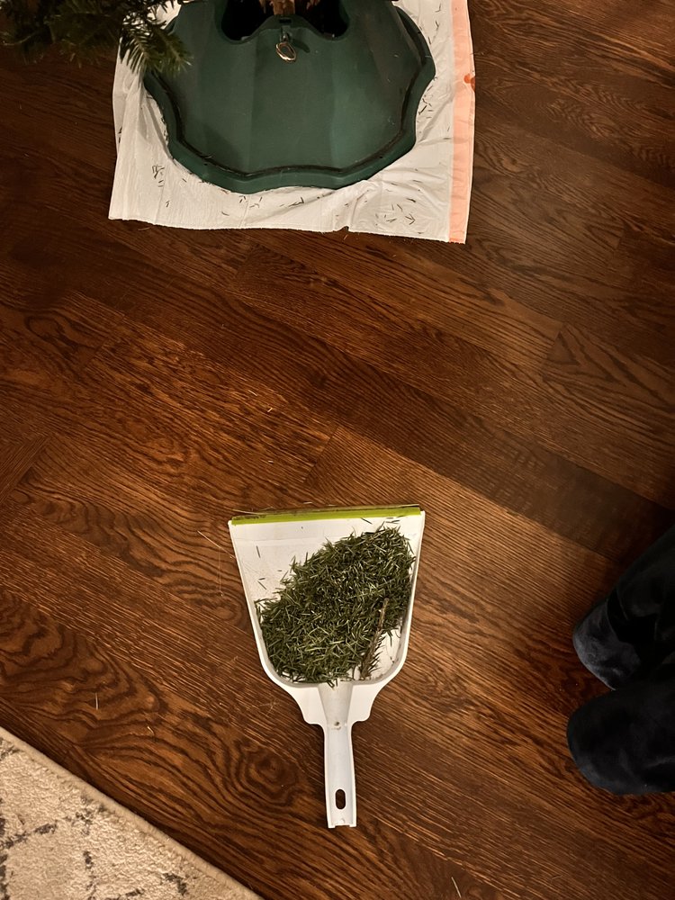 BROADVIEW CHRISTMAS TREE - Updated December 2025 - 28 Photos & 19 ...