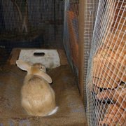 PETER RABBIT - 80 Photos & 26 Reviews - 234-244 Hindley St, Adelaide ...