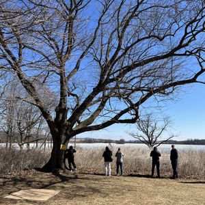 SPEEDWELL FORGE COUNTY PARK - Updated February 2025 - 15 Photos - 480 ...