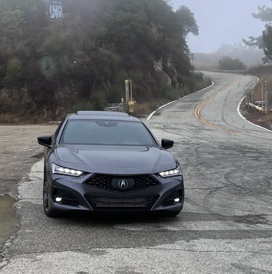 THOMAS ACURA - Updated October 2025 - 56 Photos & 259 Reviews - 580 S ...