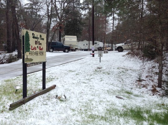 SHADY PINES RV PARK - Updated August 2025 - 12 Photos - 1708 Gum ...