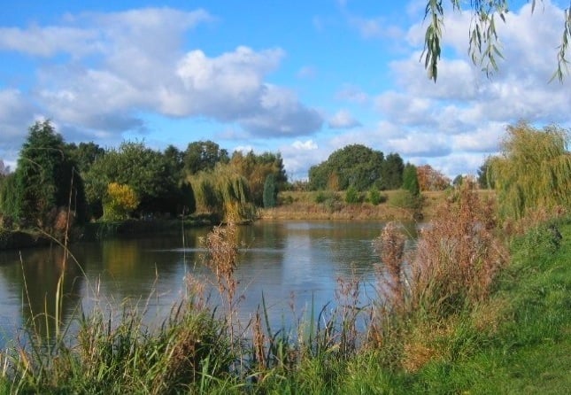 POOL BRIDGE FARM FISHERY - Updated September 2025 - Wheldake Lane, York ...