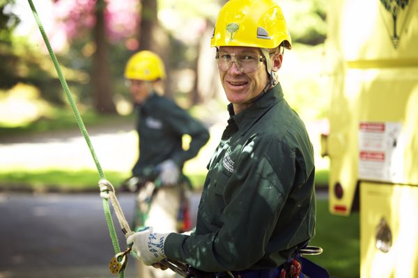 BARTLETT TREE EXPERTS - Updated November 2025 - 48 Photos - Manassas ...