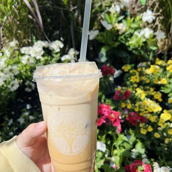 BRIGGS NURSERY - Updated September 2024 - 132 Photos & 68 Reviews - 295 ...