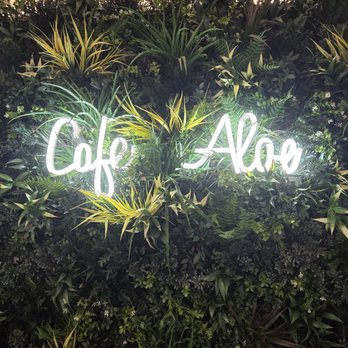 CAFE ALOE - Updated July 2024 - 936 Photos & 328 Reviews - 10961 NE 2nd ...