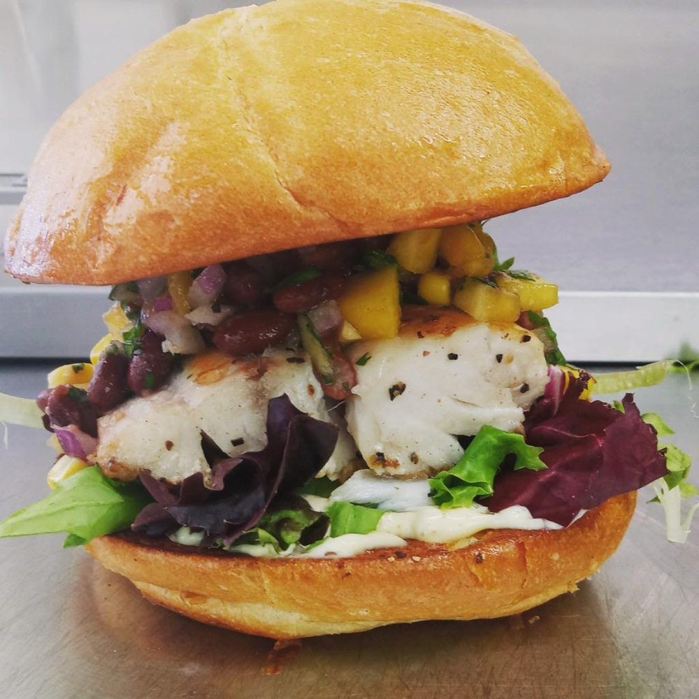 THE TORTOISE SHELL - Updated August 2025 - 10 Photos - Portland, Oregon ...