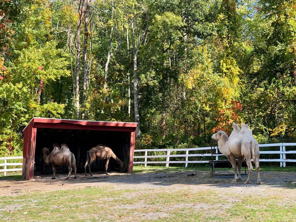 GREEN CHIMNEYS - Updated October 2025 - 18 Photos - 400 Doansburg Rd ...