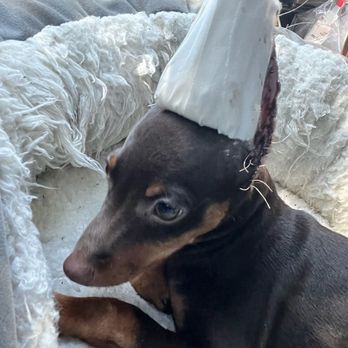 DR. BUTCHKO - Updated July 2025 - 44 Photos & 85 Reviews - 5448 Mission ...