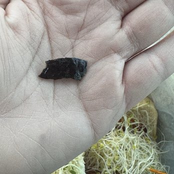 SACKS SANDWICHES - HARDY - Updated May 2024 - 134 Photos & 179 Reviews ...