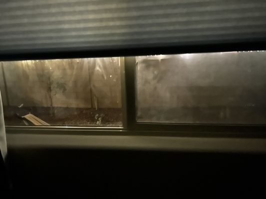 TMCONE - RINCON - Updated December 2025 - 15 Photos & 24 Reviews ...