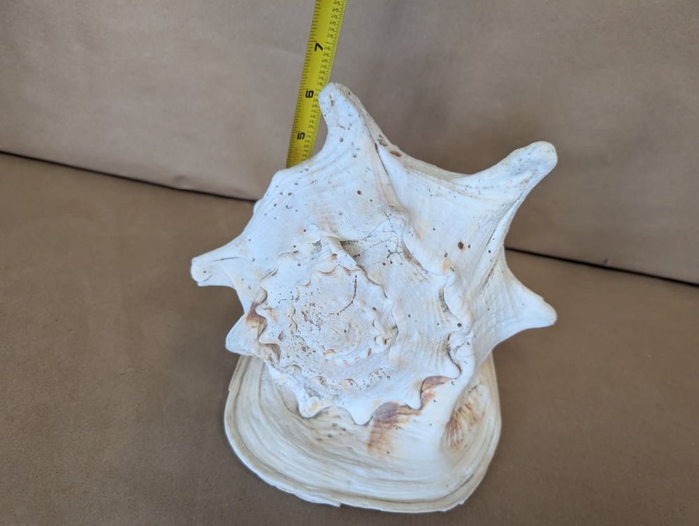 BARNACLE BETTY’S ANTIQUE & ART EMPORIUM - Updated December 2025 - 27 ...