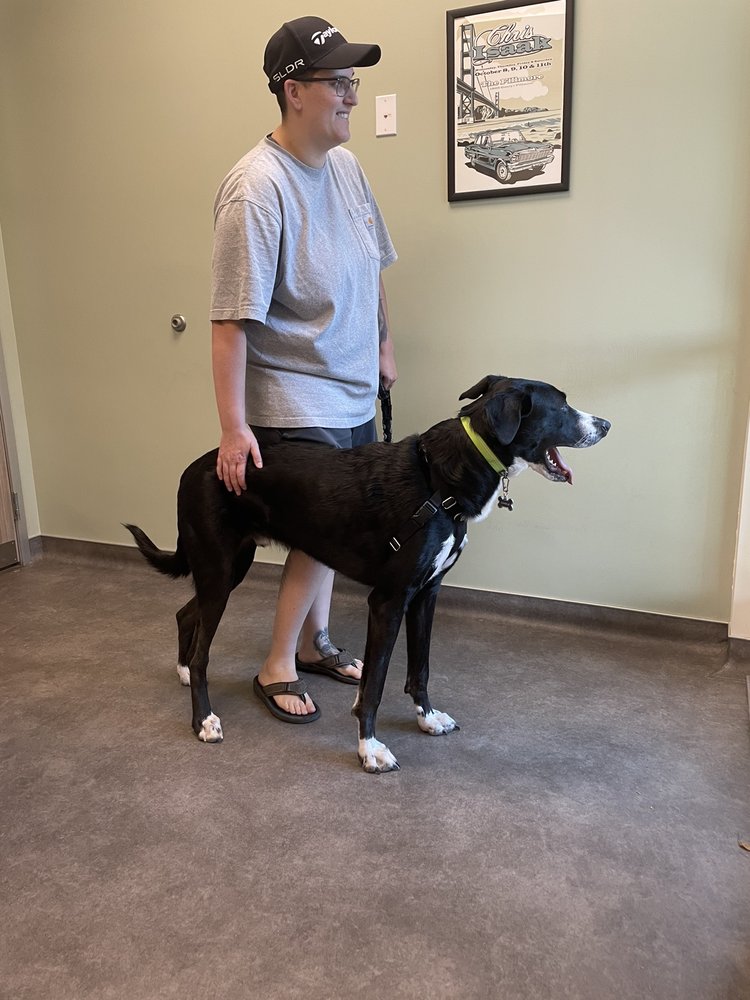 WEST DAVIS VETERINARY CENTER - Updated September 2025 - 30 Photos & 44 ...