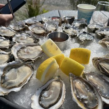 TAYLOR SHELLFISH FARMS - Updated June 2024 - 1385 Photos & 394 Reviews ...