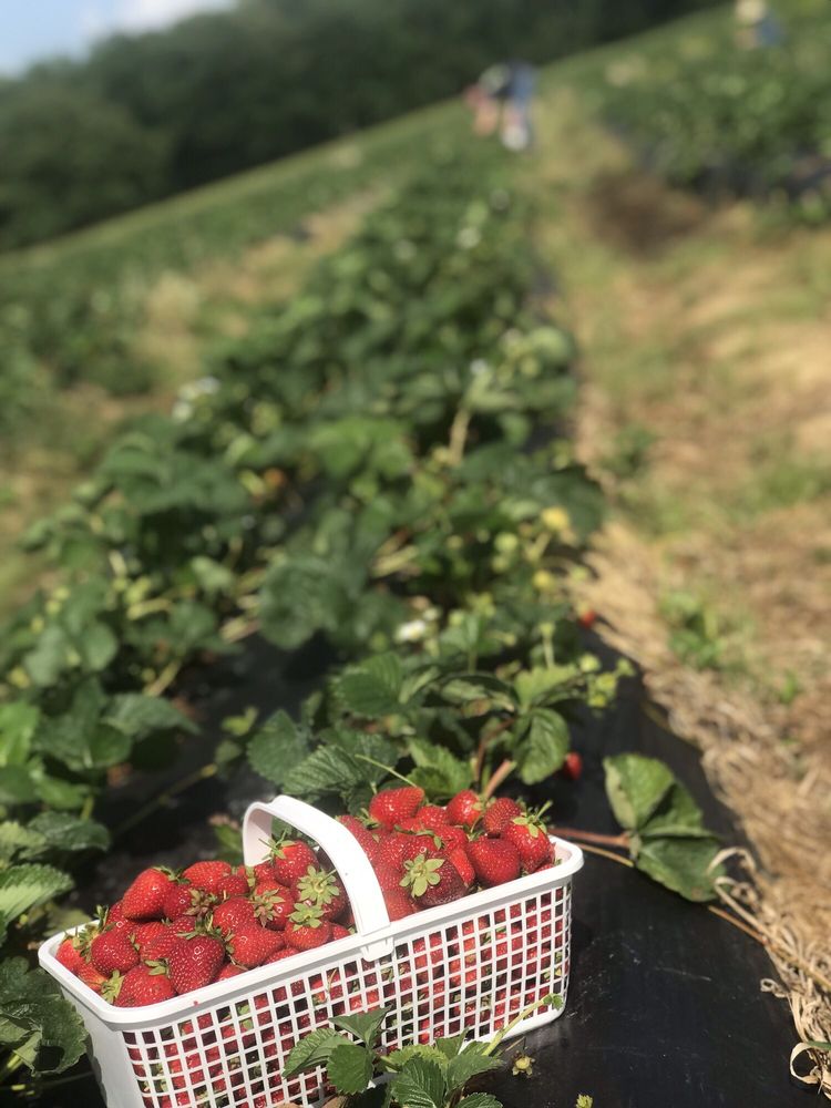 BOTTOM VIEW FARM - Updated December 2025 - 16 Photos & 10 Reviews - 185 ...