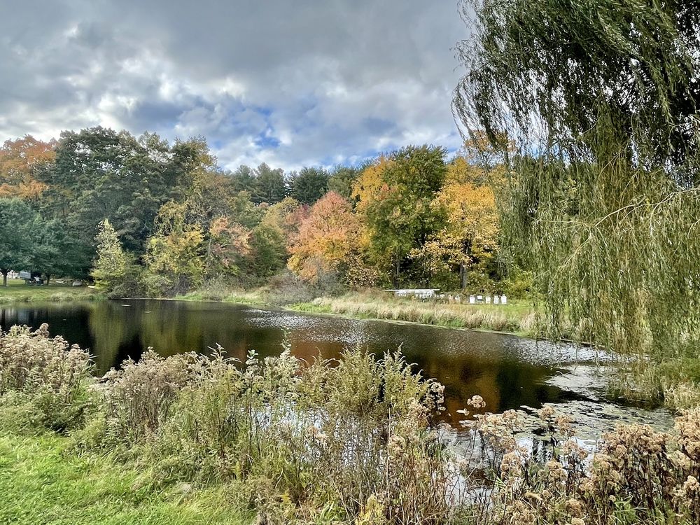 HANSON’S FARM - 91 Photos & 35 Reviews - 20 Nixon Rd, Framingham ...