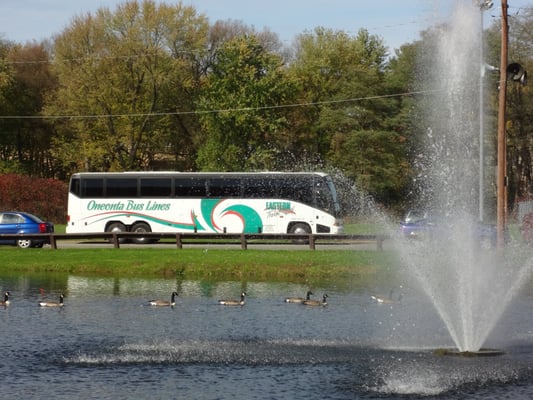 ONEONTA BUS LINES - Updated December 2025 - 13 Photos - 41 Orchard St ...