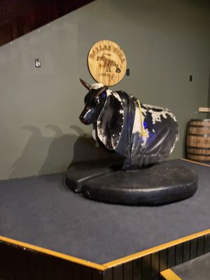 DALLAS BULL - Updated November 2024 - 34 Photos & 80 Reviews - 3322 N ...