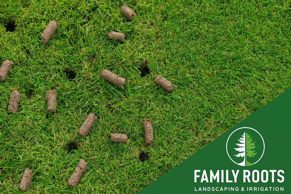 FAMILY ROOTS LANDSCAPING & IRRIGATION - Updated January 2026 - Request ...