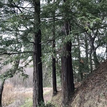 DON CASTRO REGIONAL RECREATION AREA - Updated August 2025 - 395 Photos ...