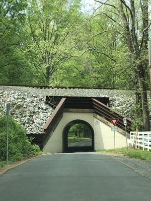 BUNNY MAN BRIDGE - Updated October 2024 - 18 Reviews - Clifton ...