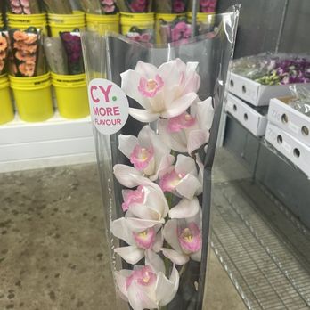 J MERULLO IMPORTS - Updated December 2025 - 90 Gordon Dr, Syosset, New ...