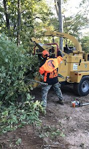 DK TREE SERVICE - Tree Services - Greer, South Carolina - 16 Photos ...