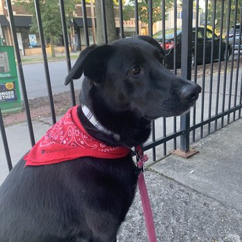 CHATTERBOX PUB - Updated November 2024 - 80 Photos & 226 Reviews - 2229 ...