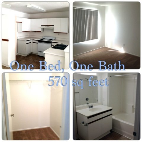 BRANDON PLACE SENIOR APARTMENTS - Updated January 2026 - 3941 Polk St ...