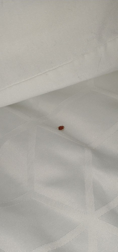 HOLIDAY INN EXPRESS & SUITES GEORGETOWN - Updated January 2026 - 27 ...