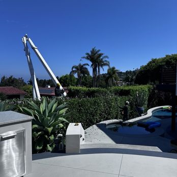 FINLEY’S TREE & LANDCARE - Updated August 2025 - 196 Photos & 340 ...