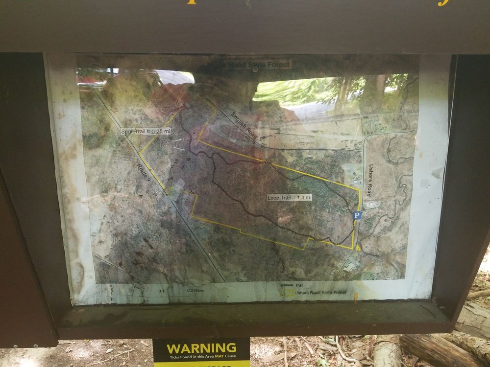 USHERS ROAD STATE FOREST - Updated April 2025 - 166 Ushers Rd, Round ...