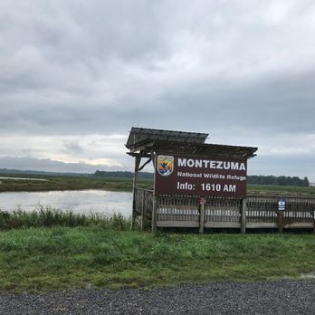 MONTEZUMA NATIONAL WILDLIFE REFUGE - Updated August 2025 - 84 Photos ...