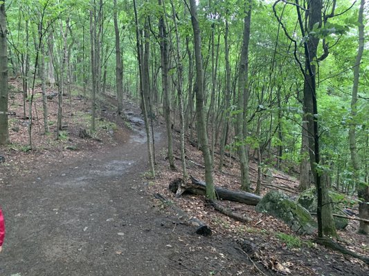 RESERVE NATURELLE GAULT DE L’UNIVERSITE MCGILL - Updated January 2025 ...