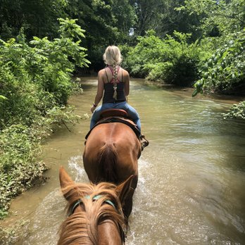 WILD ROSE EQUESTRIAN CENTER - Updated October 2025 - 589 Franklin Ln ...