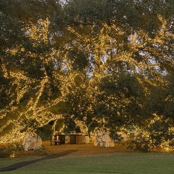 THE HOUSTONIAN HOTEL, CLUB, & SPA - Updated December 2025 - 315 Photos ...