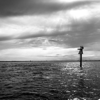 SHELL ISLAND WHITE SAND BEACH - Updated June 2025 - 52 Photos & 35 ...